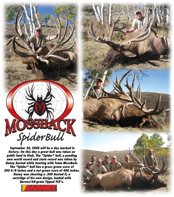 Spider Bull - UTAH NEW WORLD RECORD?