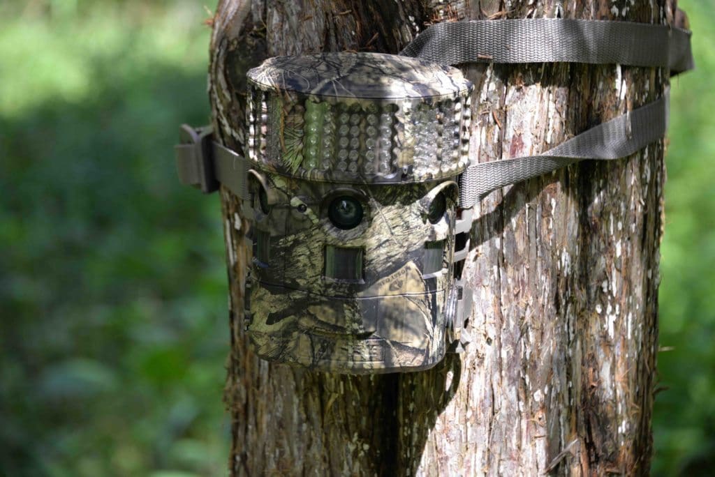 Moultrie Panoramic 180i Trail Cam Review