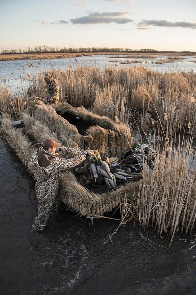 Waterfowl Vision: Beating the Odds