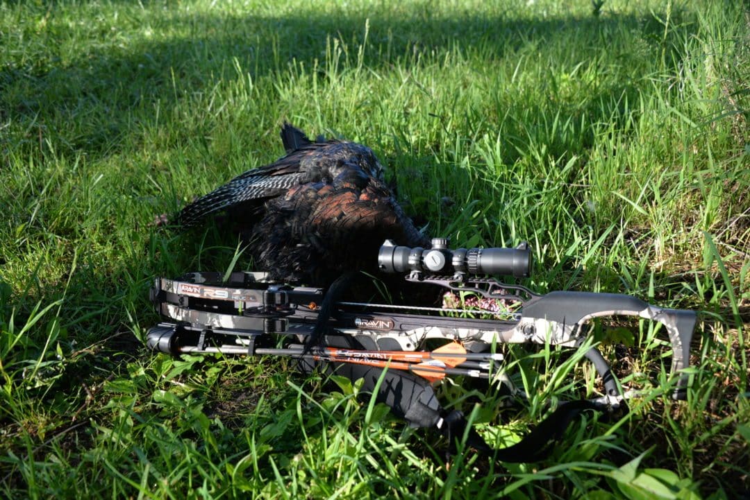 Ravin Crossbows R9 Review