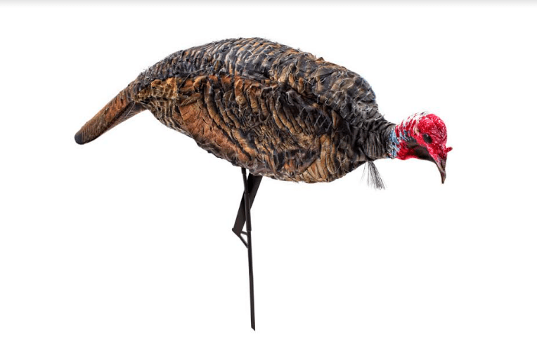 Montana Decoy Offers Specialized Tom-Taking Tools for Spring Turkey