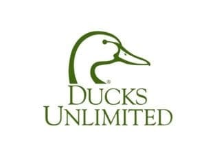Ducks Unlimited scholarship applications now available
