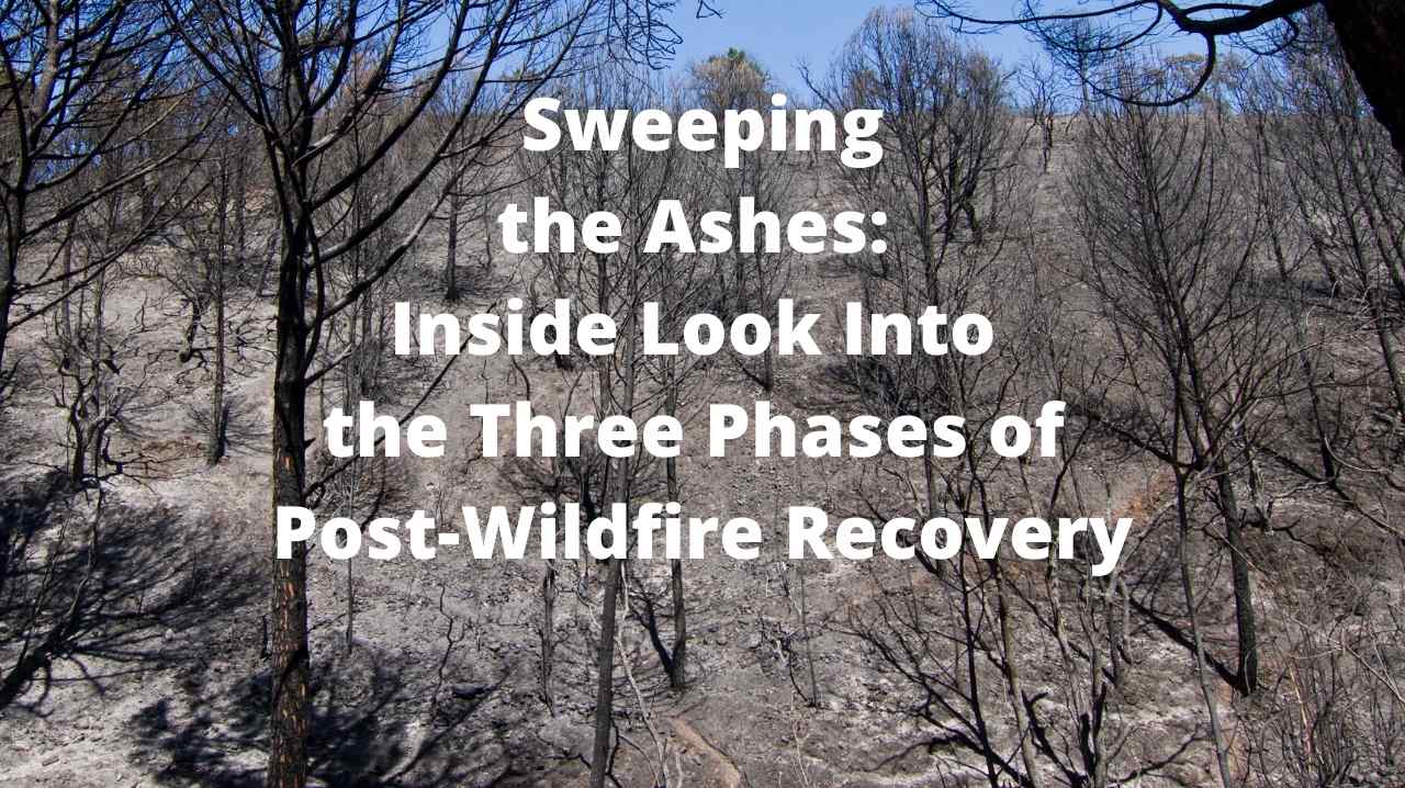 Sweeping the Ashes: Inside Look Into the Three Phases of Post-Wildfire ...