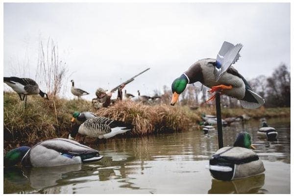 Avian-X® Introduces PowerFlight™ Mallard - The Ultimate Spinning Wing ...