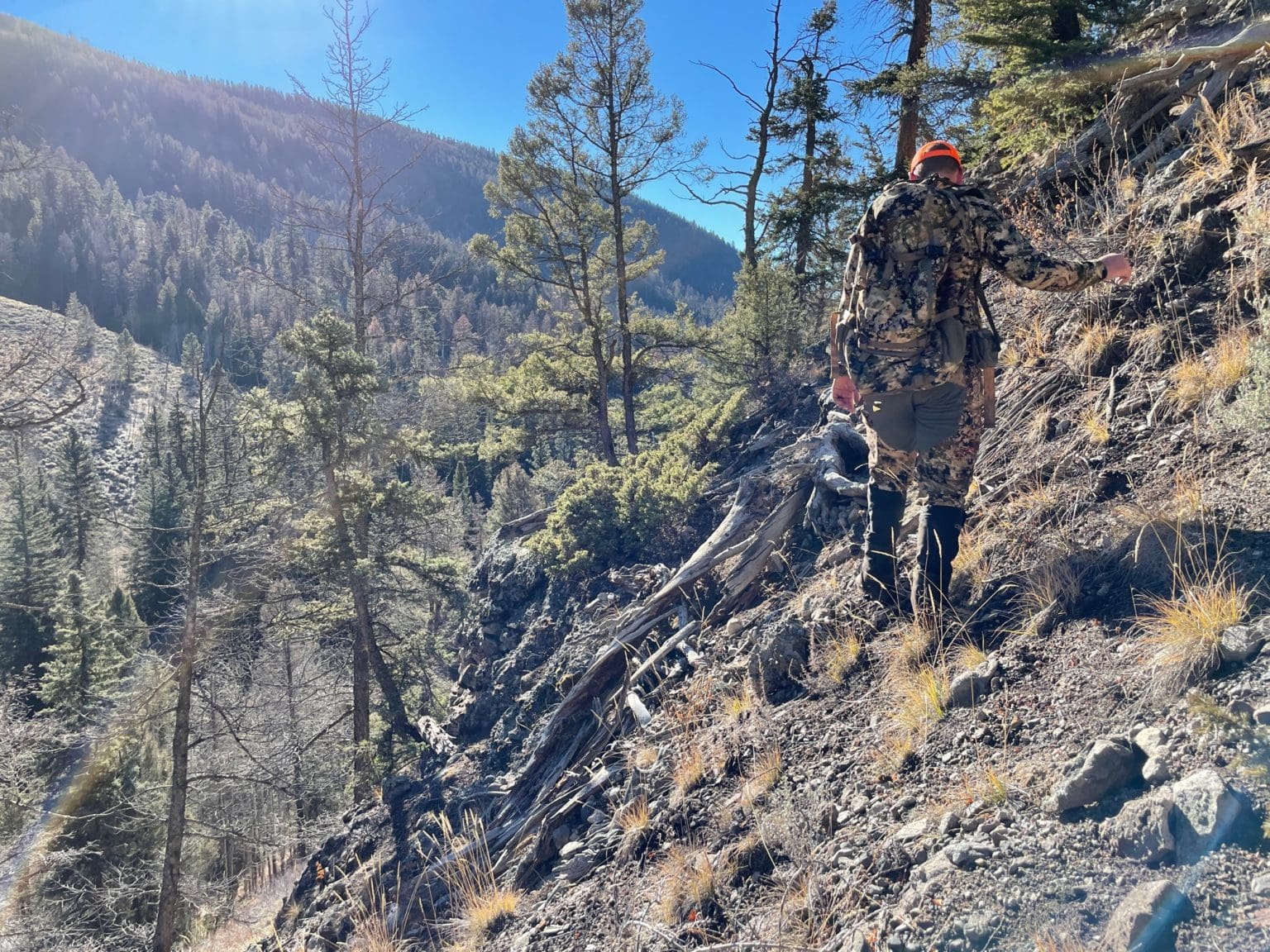 Your Introduction to a Colorado DIY Public Lands Bull Elk Hunt