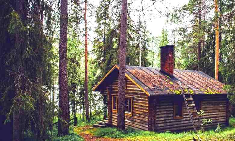 How to Make Your Hunting Cabin Winter-Ready - Hunting and Fishing News ...