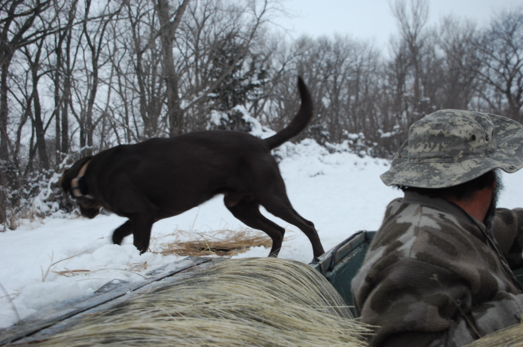 Hunting – One of the Safest Activities in America