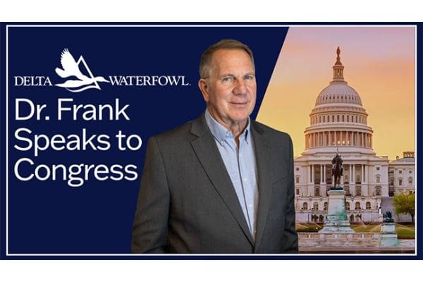 Delta Waterfowl Testifies in Congress to Support HEN ACT