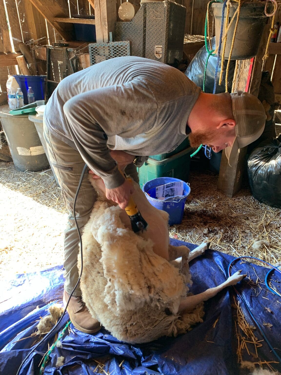 How a Tick Bite Changed My Life - Hunting and Fishing News Blog ...