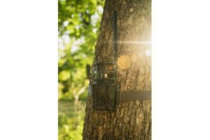 Stealth Cam’s Revolver PRO 2.0 Series Cellular Trail Camera Boasts Dual ...