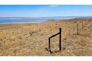 Mule Deer Foundation and the California Wildlife Conservation Board ...